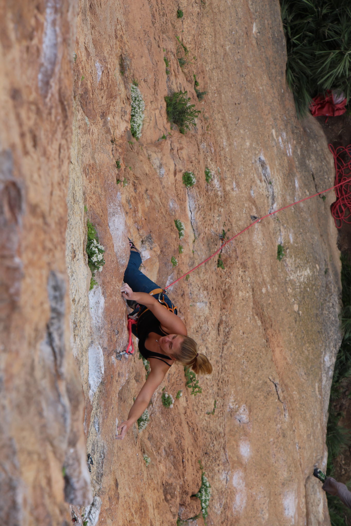 Mona Kellner | Mantle Climbing