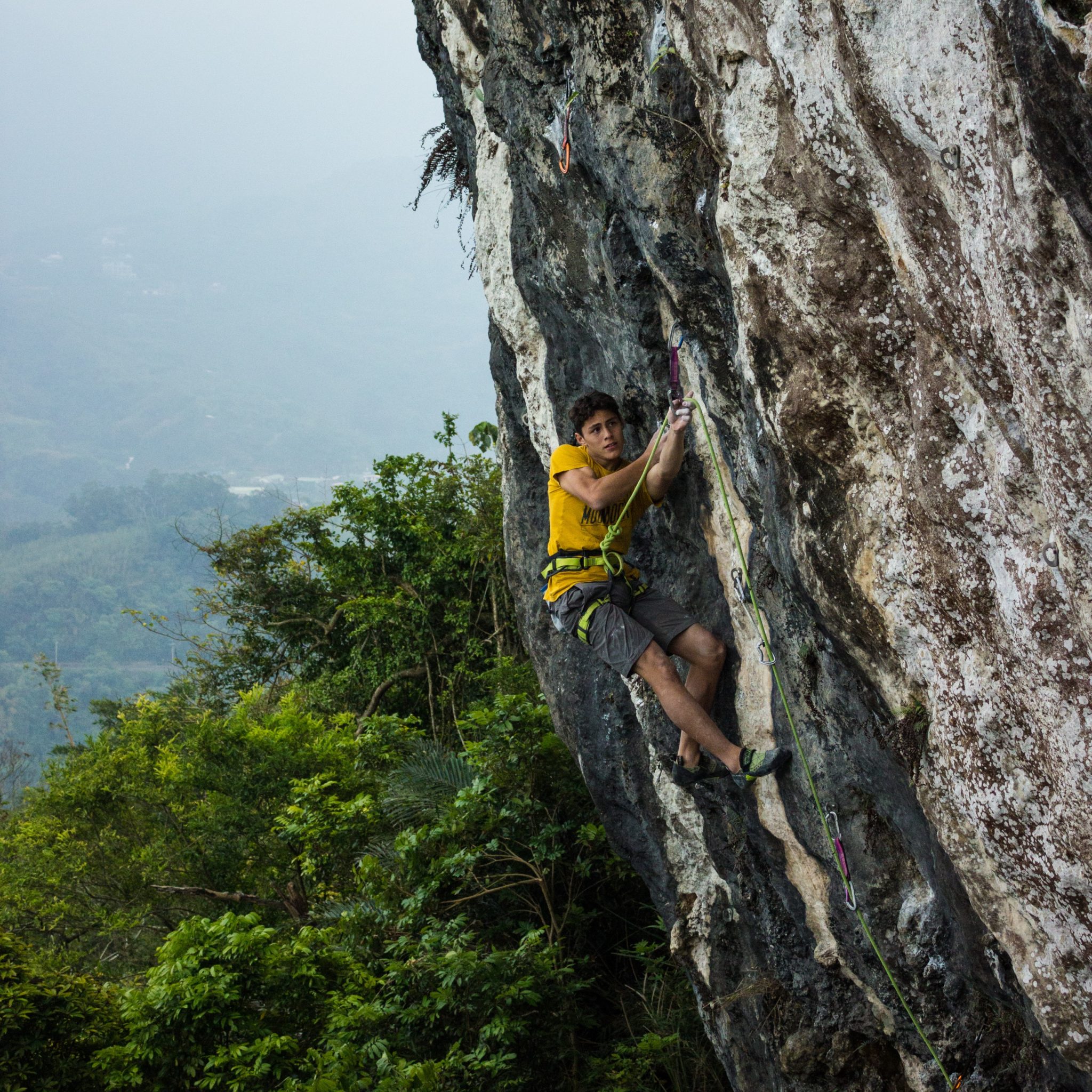 Startseite | Mantle Climbing